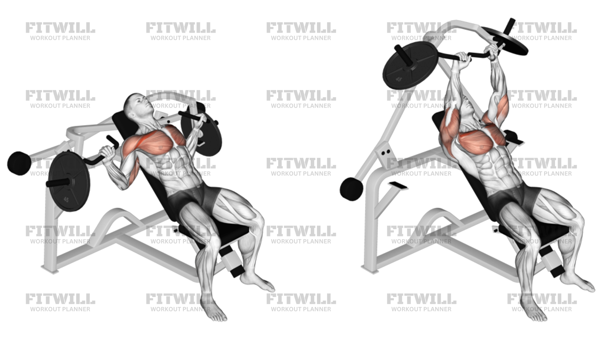 Ultimate Upper Chest Workout for Mass and Definition Using Machines ...