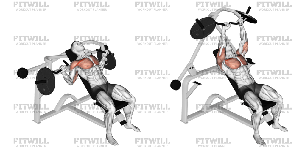 Press De Pecho Inclinado Con Palanca: Guía de Ejercicios, Video ...