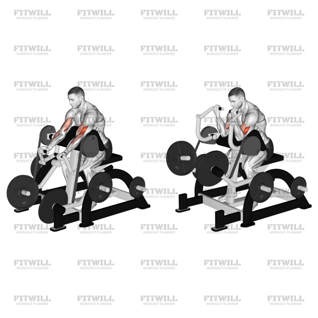Lever Preacher Curl Plate Loaded: Exercise Guide, Video, Techniques ...