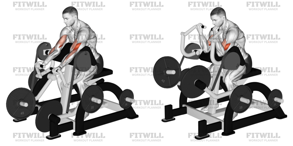 Lever Preacher Curl Plate Loaded: Exercise Guide, Video, Techniques ...