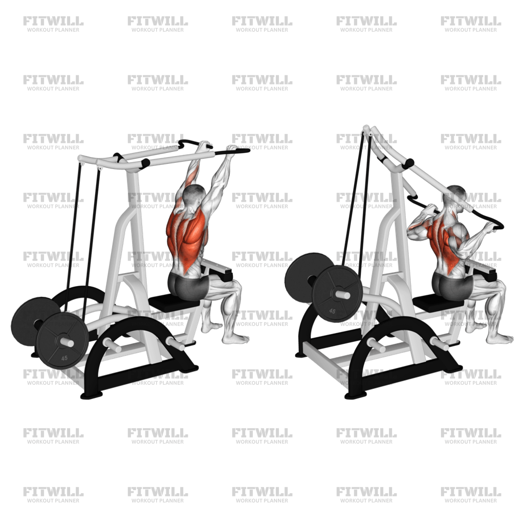 Lever High Row (plate Loaded): Exercise Guide, Video, Techniques ...