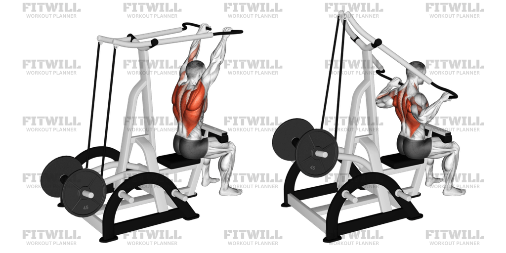 Lever High Row (plate Loaded): Exercise Guide, Video, Techniques ...