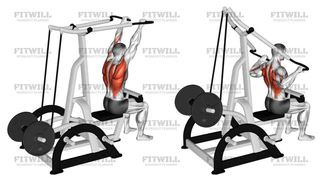 Lever High Row (plate Loaded): Exercise Guide, Video, Techniques ...