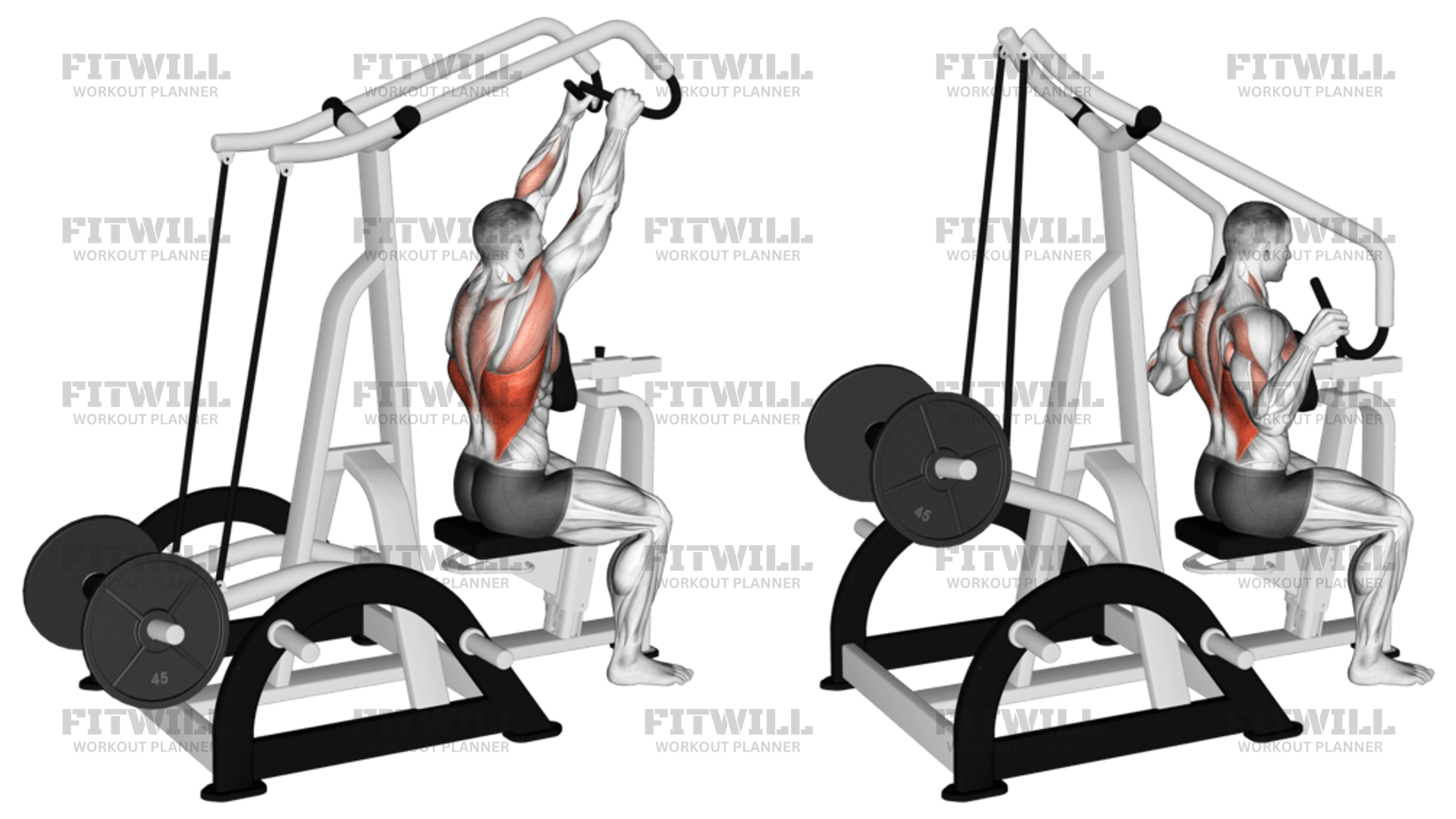 Remo Alto Con Palanca (con Placas) (VERSIÓN 3): Guía de Ejercicios ...