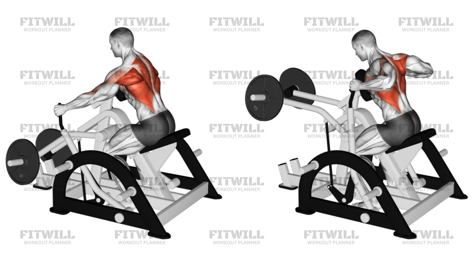 Lever Seated Row: Exercise Guide, Video, Techniques, Benefits, How to ...