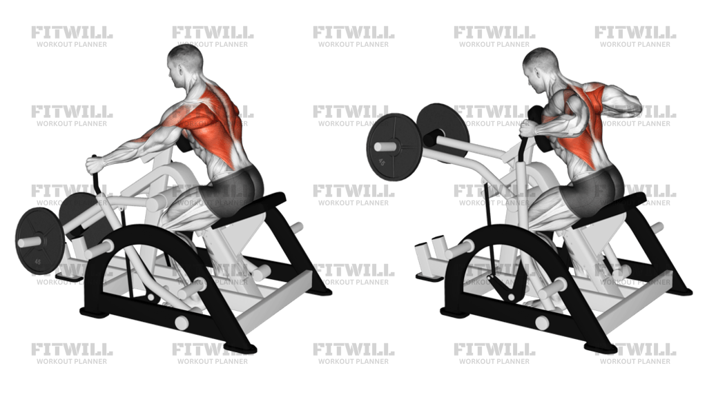 Lever Seated Row: Exercise Guide, Video, Techniques, Benefits, How to ...