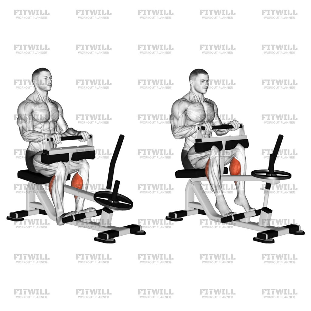 Lever Seated Calf Raise: Exercise Guide, Video, Techniques, Benefits ...