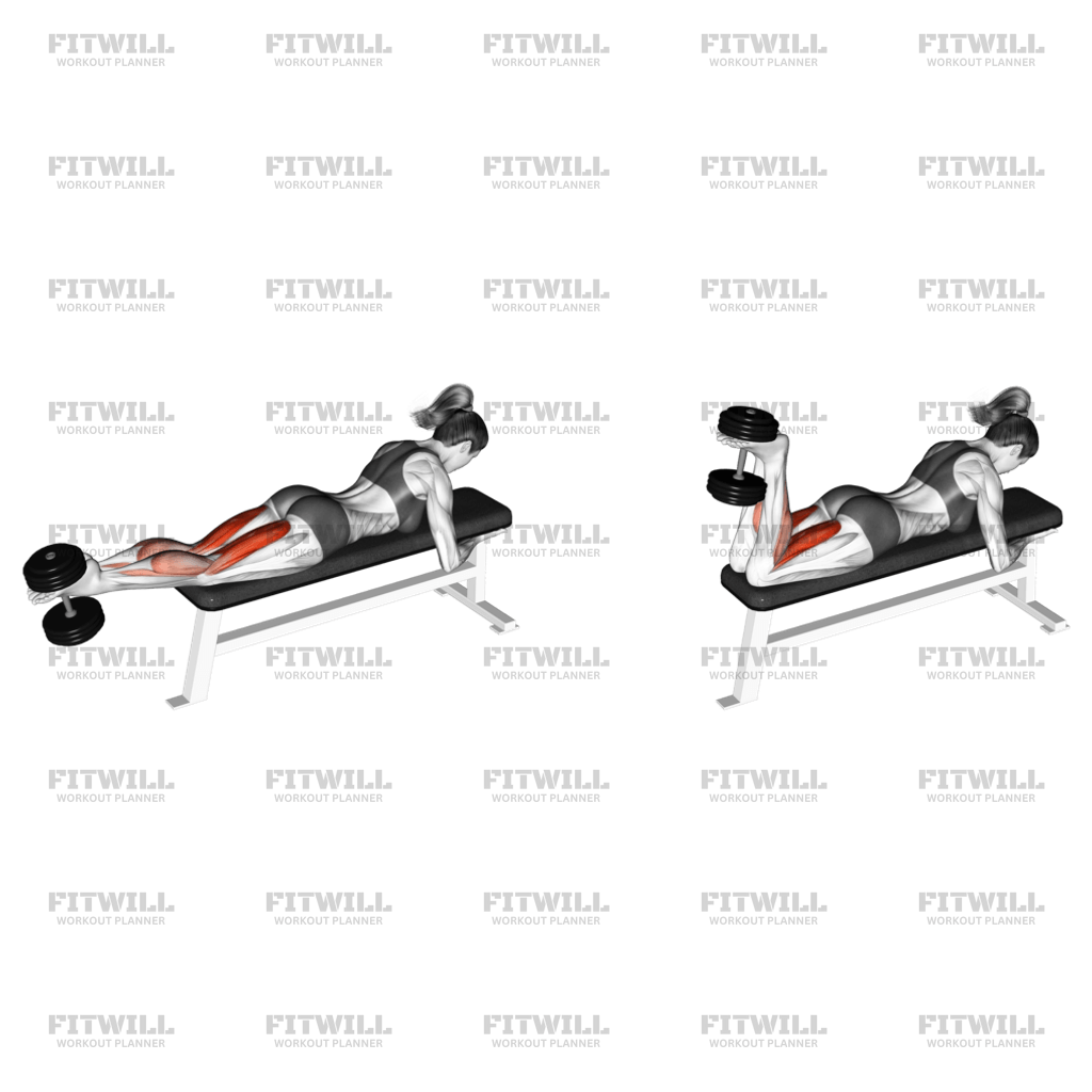 Femoral Tumbado Con Mancuernas: Guía de Ejercicios, Video, Técnicas ...