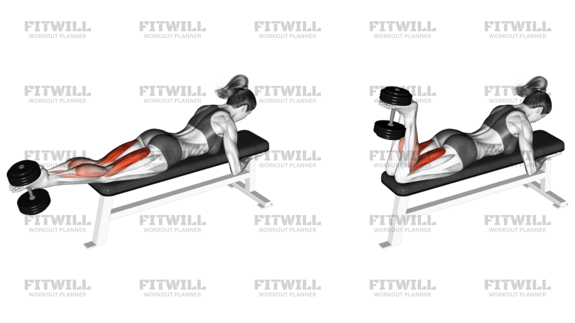 Femoral Tumbado Con Mancuernas: Guía de Ejercicios, Video, Técnicas ...