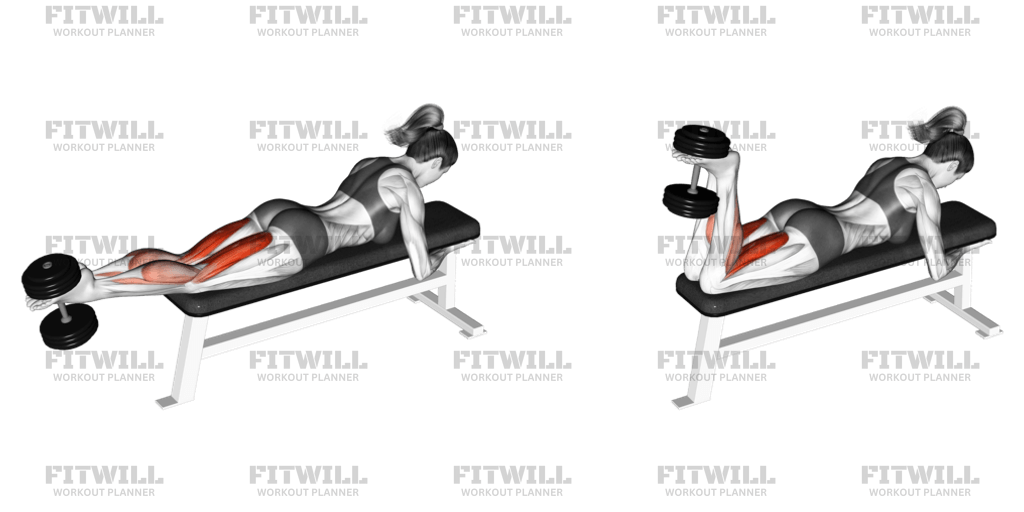 Dumbbell Lying Femoral: Exercise Guide, Video, Techniques, Benefits ...