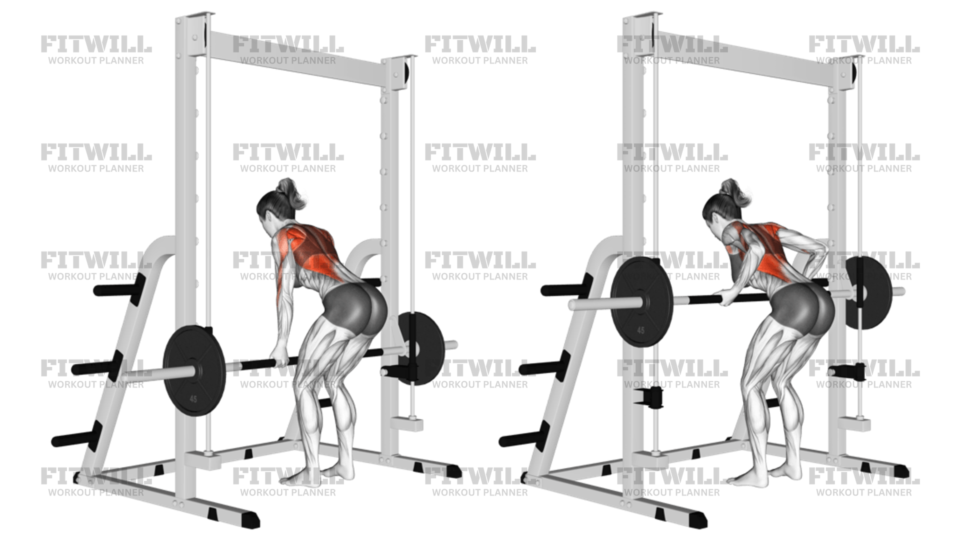 Remada Fechada Na Máquina Smith: Guia de Exercício, Técnicas ...
