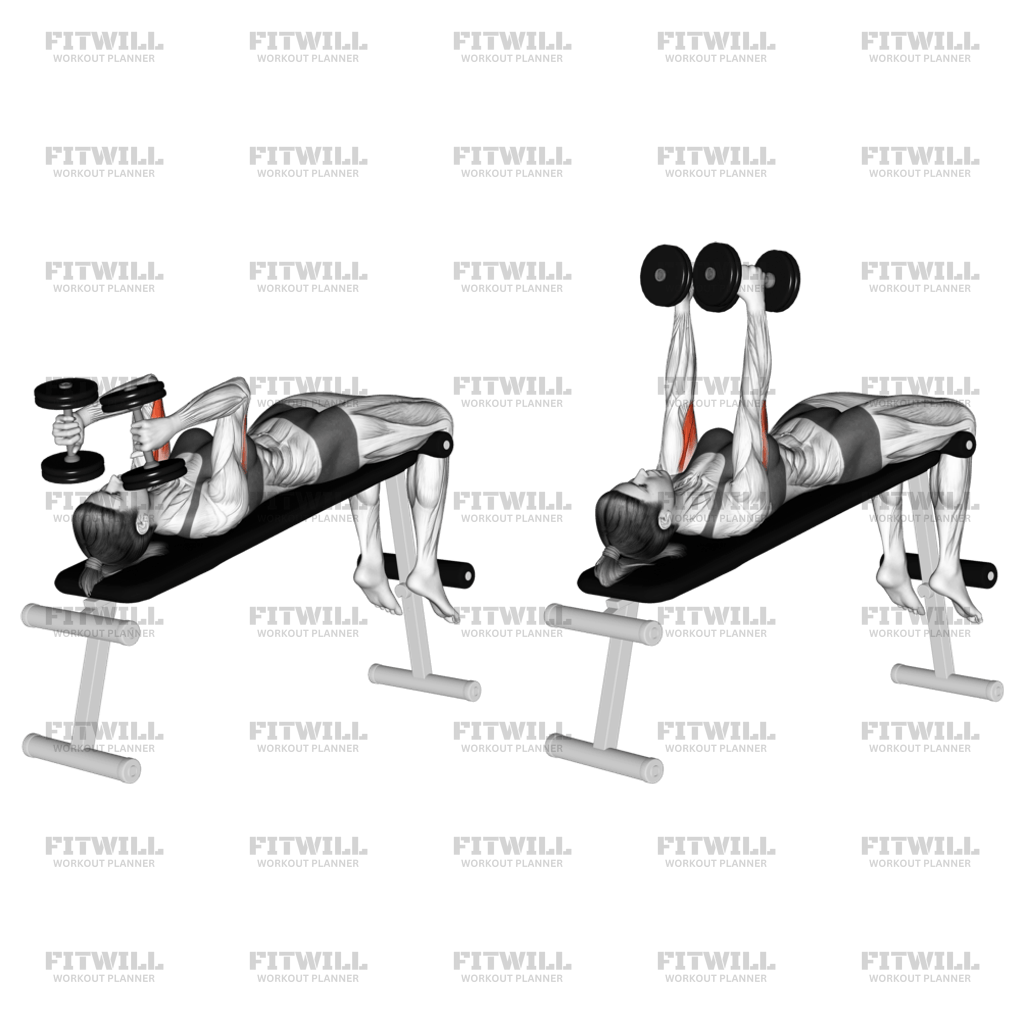 Dumbbell Decline Triceps Extension: Exercise Guide, Techniques ...