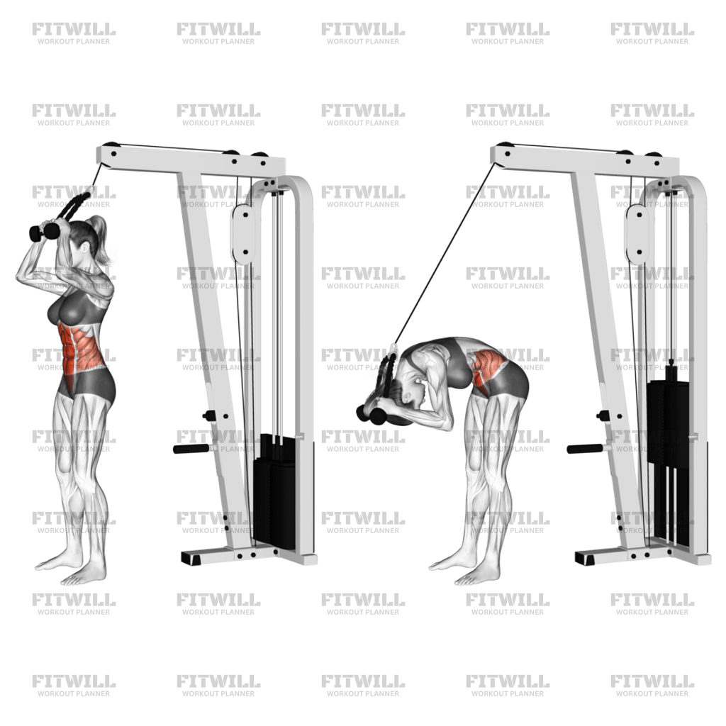 Crunch De Pie Con Cable (con Accesorio De Cuerda): Guía de Ejercicios ...