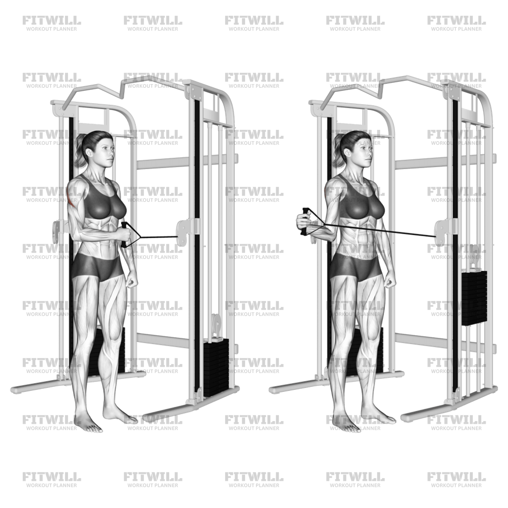 Cable Standing Shoulder External Rotation: Exercise Guide, Techniques ...