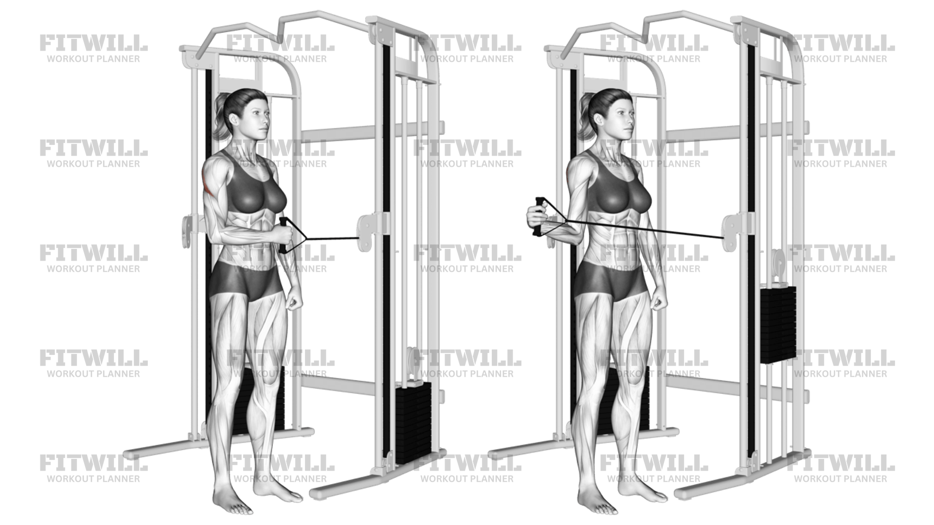 Rotación Externa De Hombro De Pie Con Cable: Guía de Ejercicios, Técnicas, Beneficios, Cómo ...