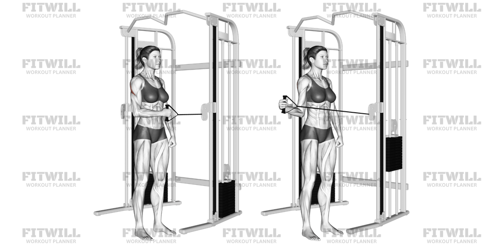 Cable Standing Shoulder External Rotation: Exercise Guide, Techniques ...