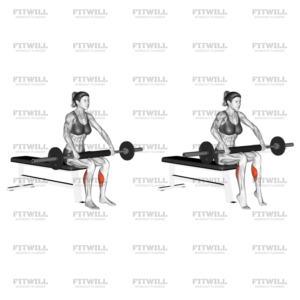 Barbell Seated Calf Raise: Exercise Guide, Techniques, Benefits, How to ...