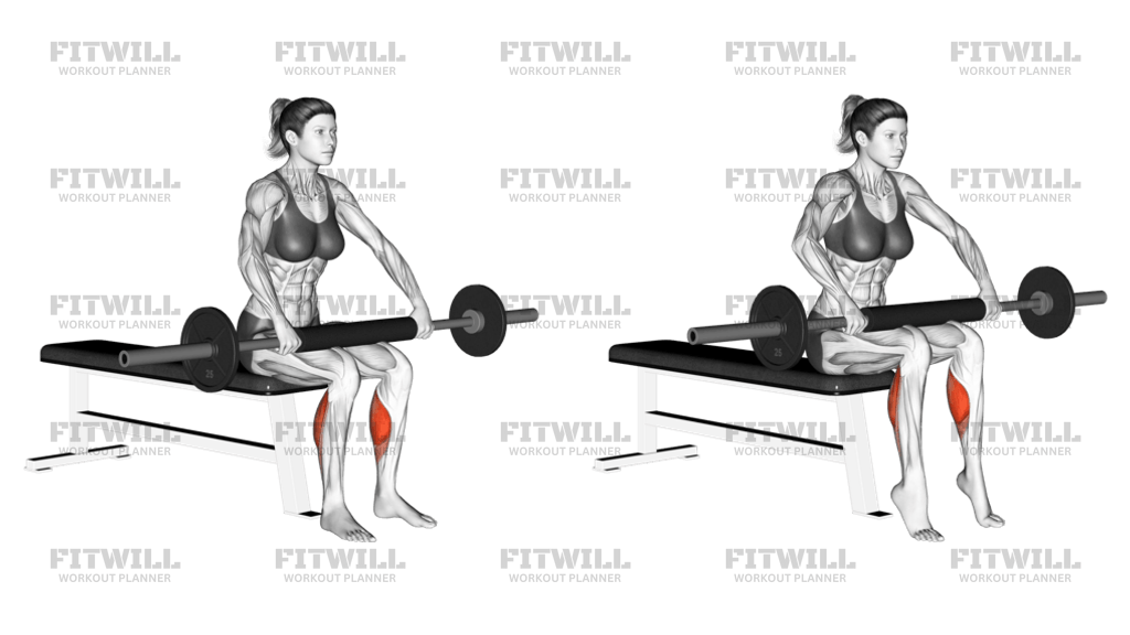 Barbell Seated Calf Raise: Exercise Guide, Techniques, Benefits, How to ...