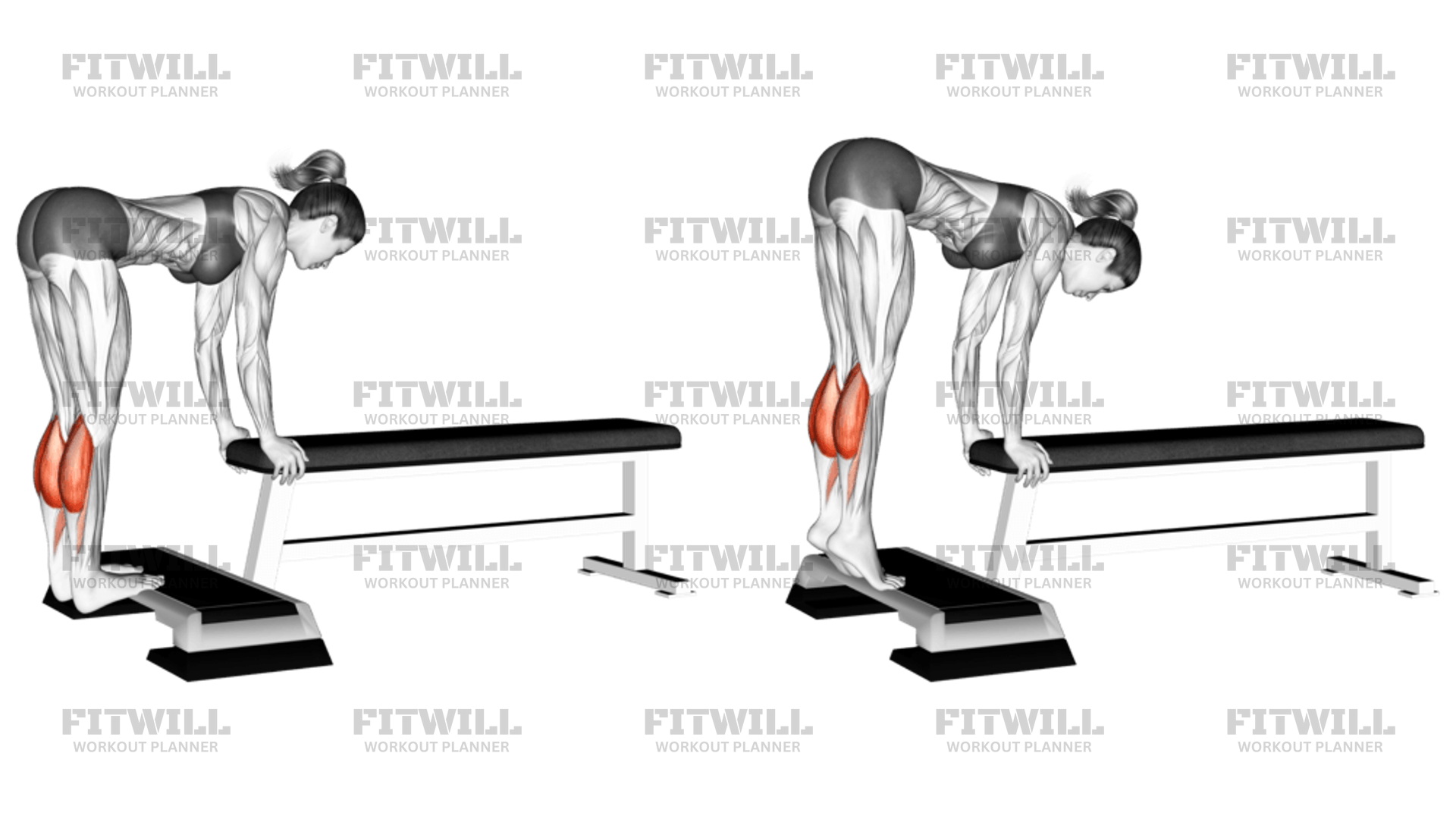 Donkey Calf Raise: Exercise Guide, Video, Techniques, Benefits, How to ...