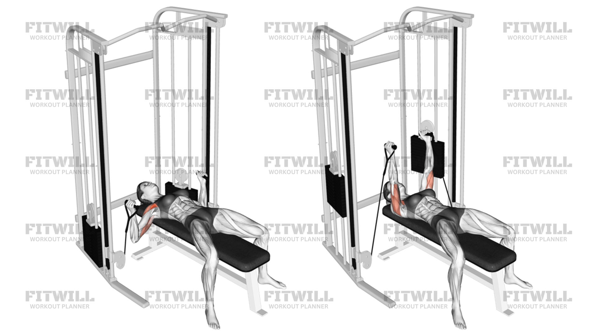 Press De Banca Con Cables: Guía de Ejercicios, Técnicas, Beneficios ...