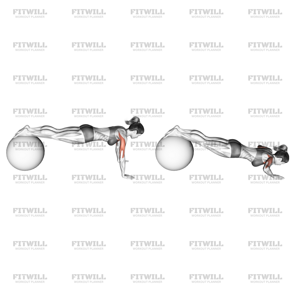 Push Up (on Stability Ball): Exercise Guide, Techniques, Benefits, How ...