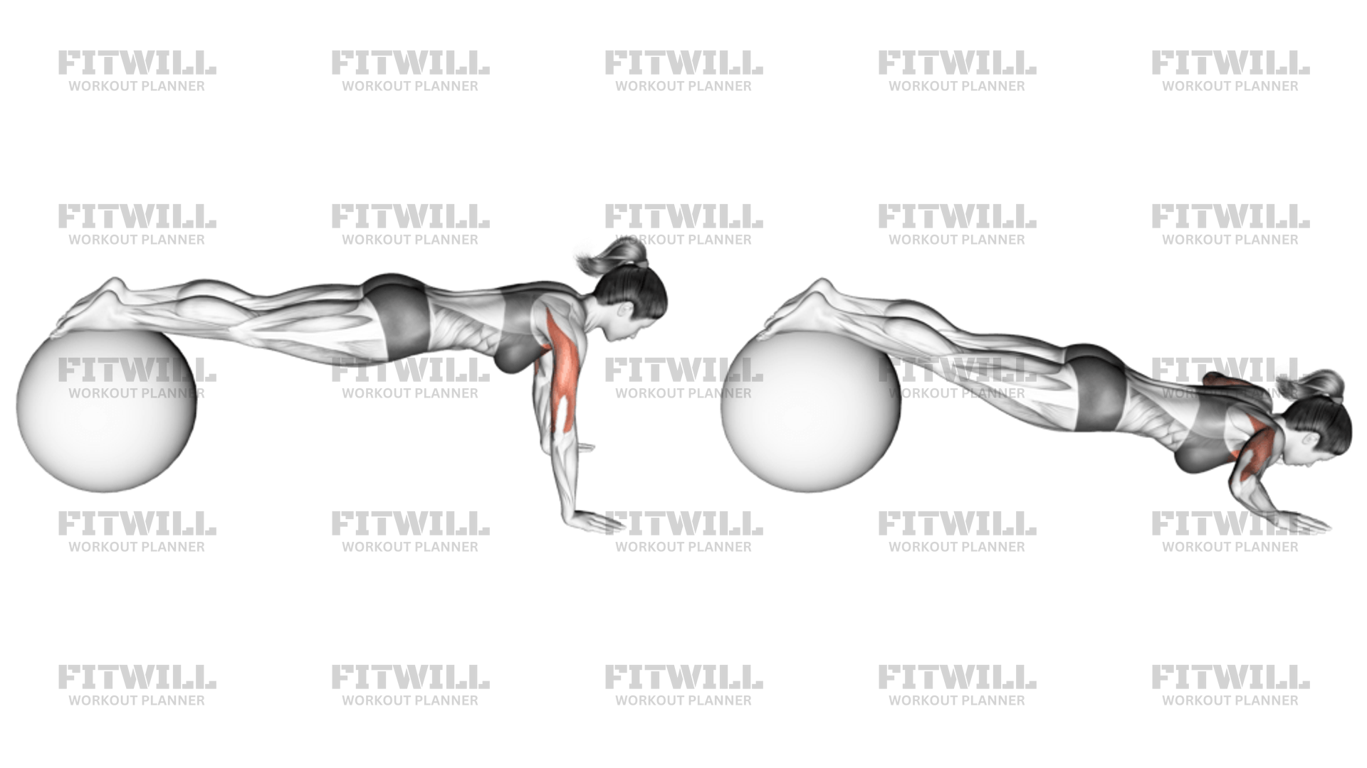 Push Up (on Stability Ball): Exercise Guide, Techniques, Benefits, How ...