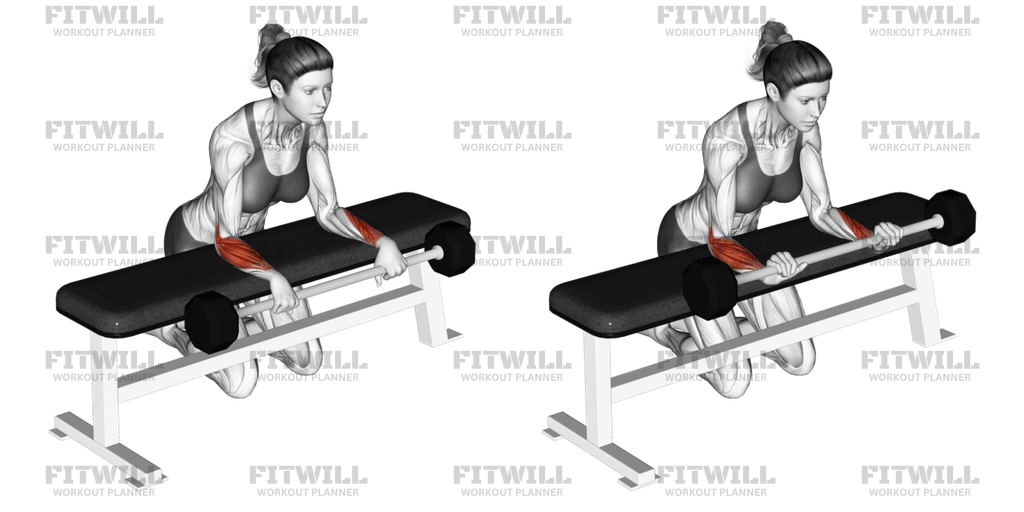 Barbell Palms Down Wrist Curl Over A Bench: Exercise Guide, Techniques ...