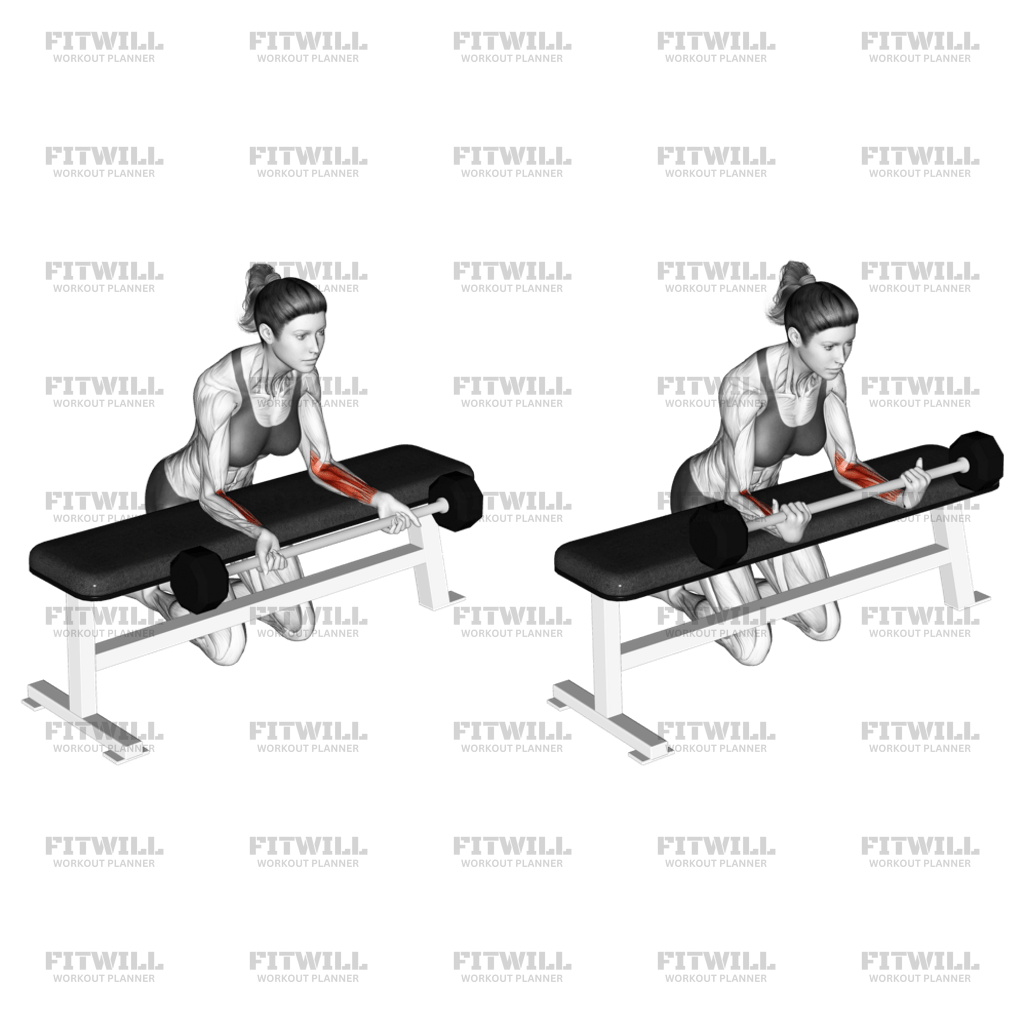 Barbell Palms Up Wrist Curl Over A Bench: Exercise Guide, Techniques ...