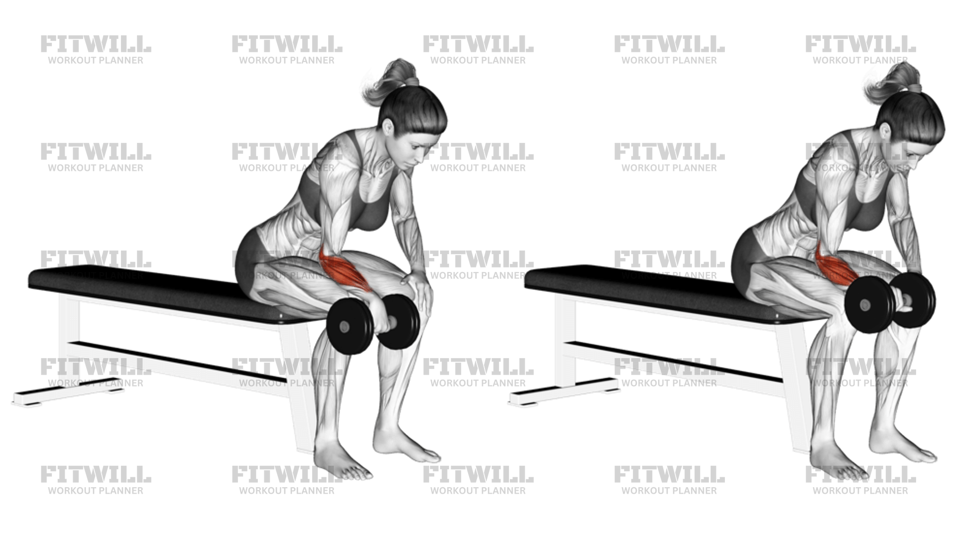 Dumbbell One Arm Revers Wrist Curl: Exercise Guide, Techniques ...