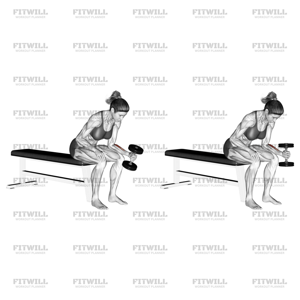 Flexión De Muñeca Neutra Con Mancuerna A Una Mano Sentado: Guía de ...