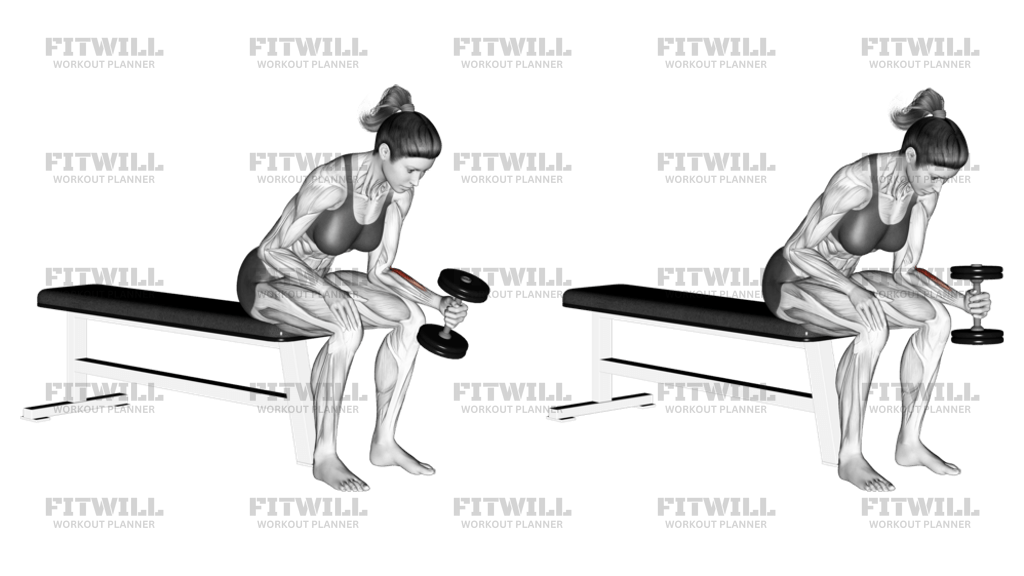 How to do Dumbbell One Arm Seated Neutral Wrist Curl: Techniques ...