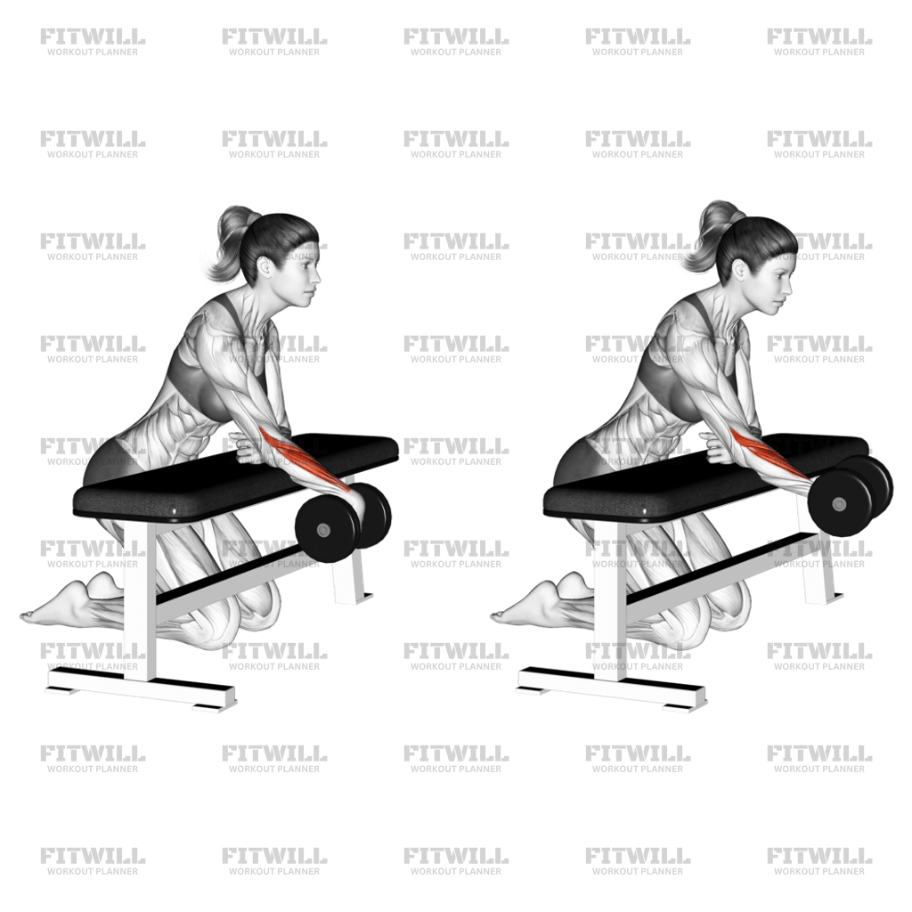 Dumbbell Over Bench One Arm Wrist Curl: Exercise Guide, Techniques ...