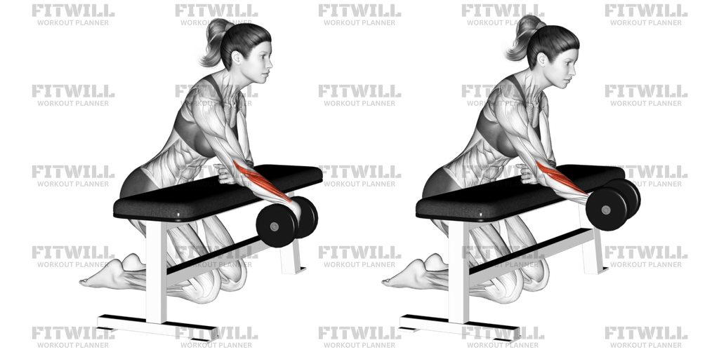 Dumbbell Over Bench One Arm Wrist Curl: Exercise Guide, Techniques ...