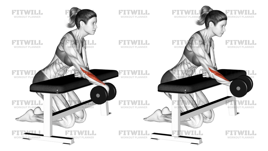 Dumbbell Over Bench One Arm Wrist Curl: Exercise Guide, Techniques ...