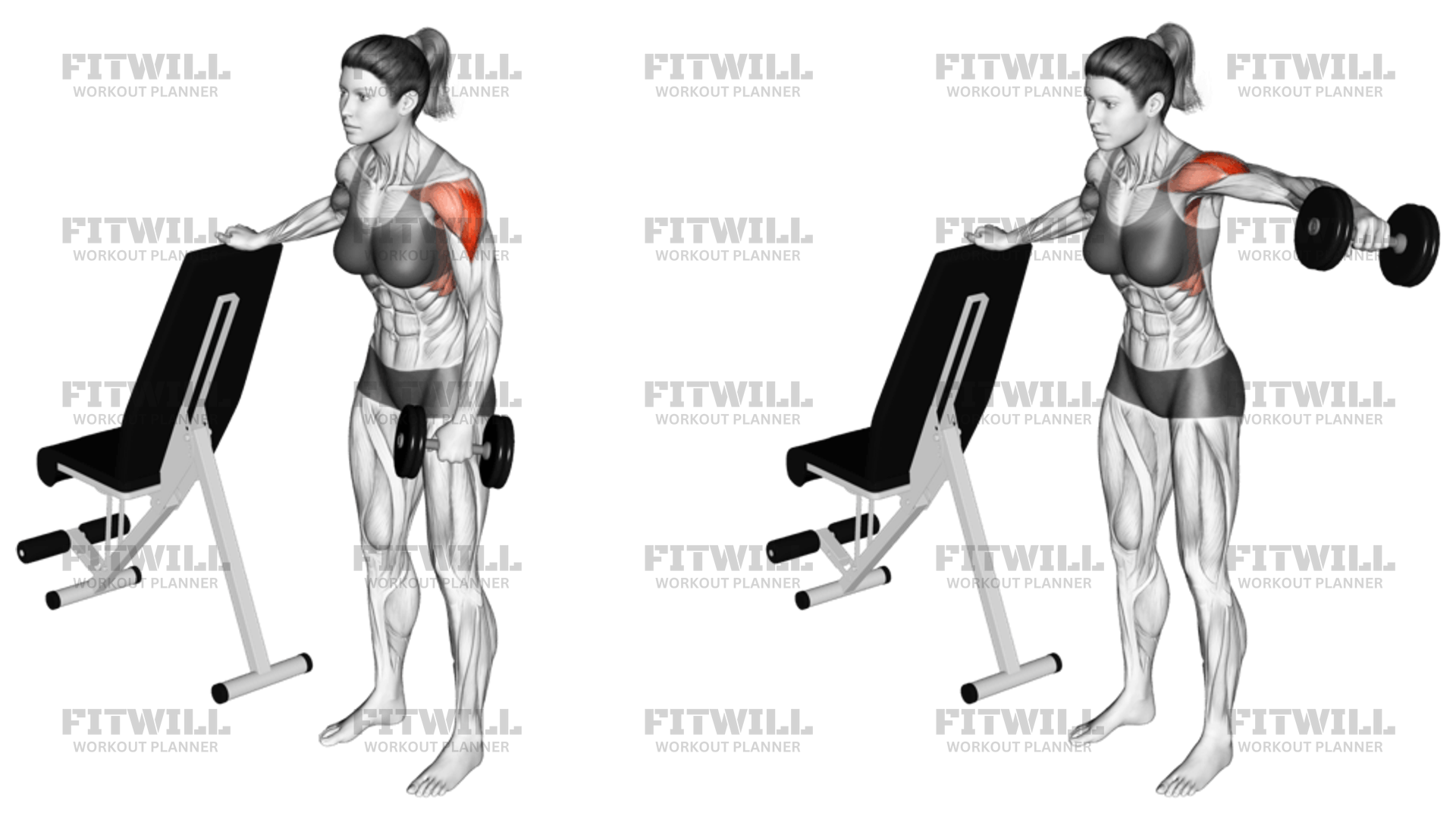 Dumbbell One Arm Lateral Raise: Exercise Guide, Techniques, Benefits ...