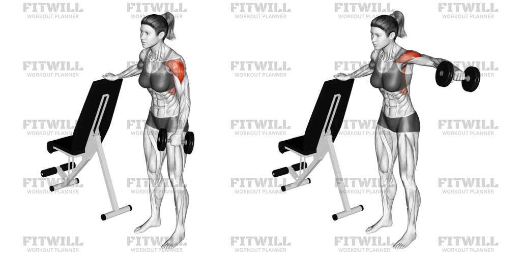 Elevação Lateral Com Haltere Com Um Braço: Guia de Exercícios, Técnicas ...