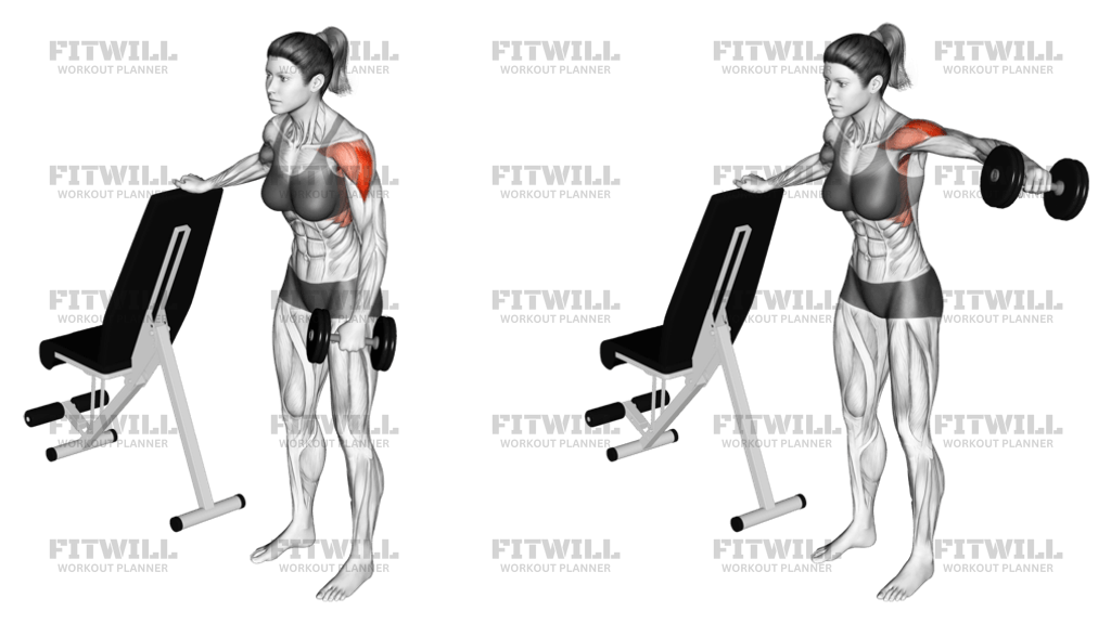 How to do Dumbbell One Arm Lateral Raise: Techniques, Benefits, Tips ...