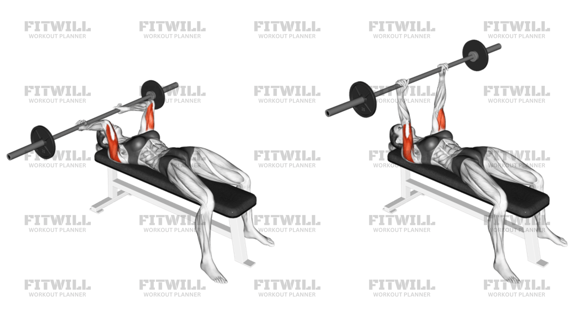 Barbell Lying Triceps Extension: Exercise Guide, Video, Techniques ...