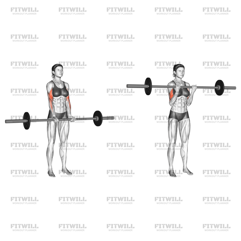 Curl De Bíceps Con Barra De Pie Con Agarre Cerrado: Video de Ejercicio | Fitwill