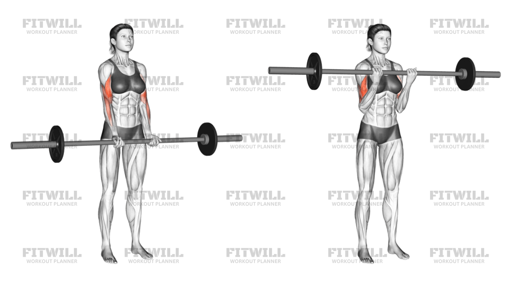 Curl De Bíceps Con Barra De Pie Con Agarre Cerrado: Video de Ejercicio | Fitwill