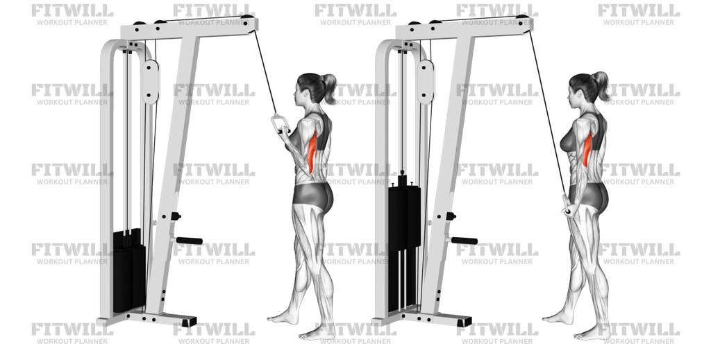 Cable Standing One Arm Triceps Extension: Exercise Video | Fitwill