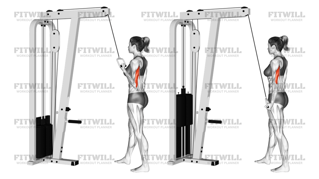 Cable Standing One-Arm Triceps Extension: Exercise Guide, Video ...