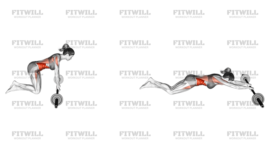 Barbell Rollout: Exercise Guide, Techniques, Benefits, How to, Muscles ...