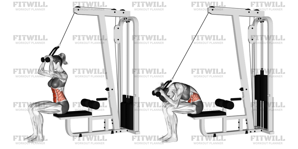 Cable Seated Crunch: Exercise Guide, Video, Techniques, Benefits, How ...