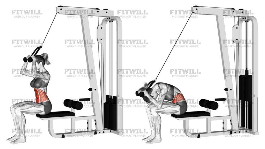 Cable Seated Crunch: Exercise Guide, Video, Techniques, Benefits, How ...