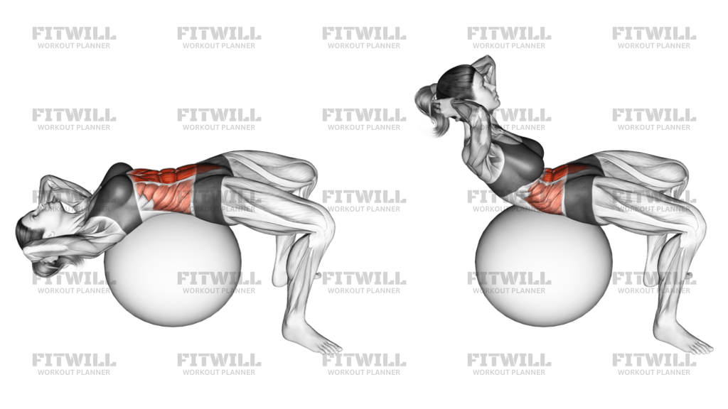 Crunch (on Stability Ball): Exercise Guide, Video, Techniques, Benefits ...