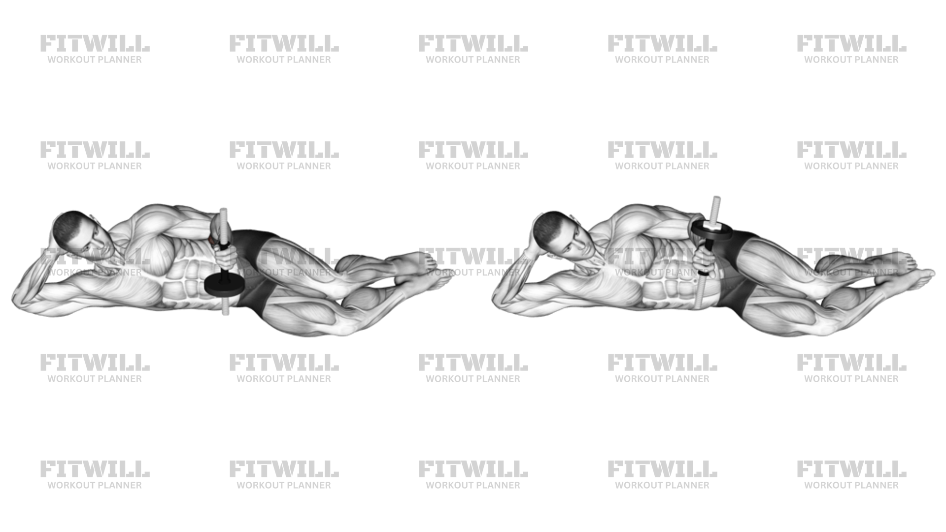 Dumbbell Lying Pronation On Floor: Exercise Guide, Video, Techniques ...
