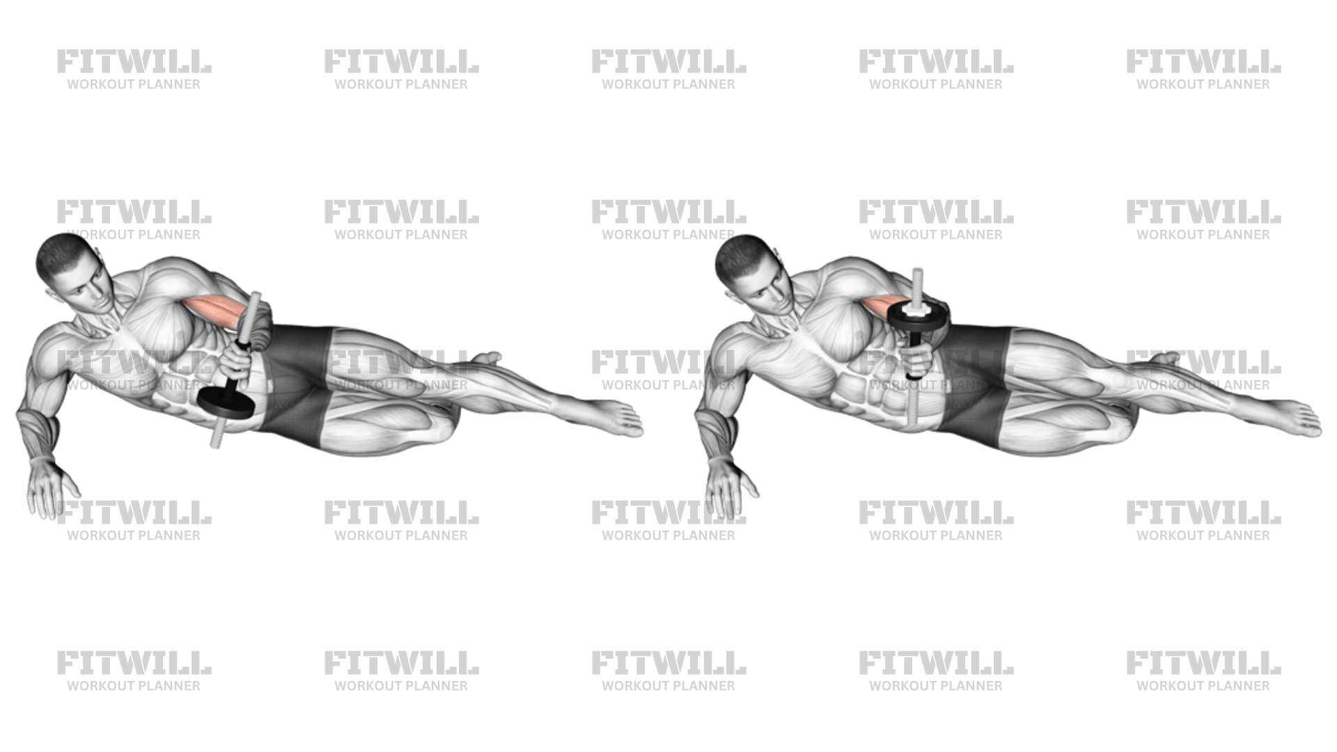 Dumbbell Lying Supination On Floor: Exercise Guide, Techniques ...