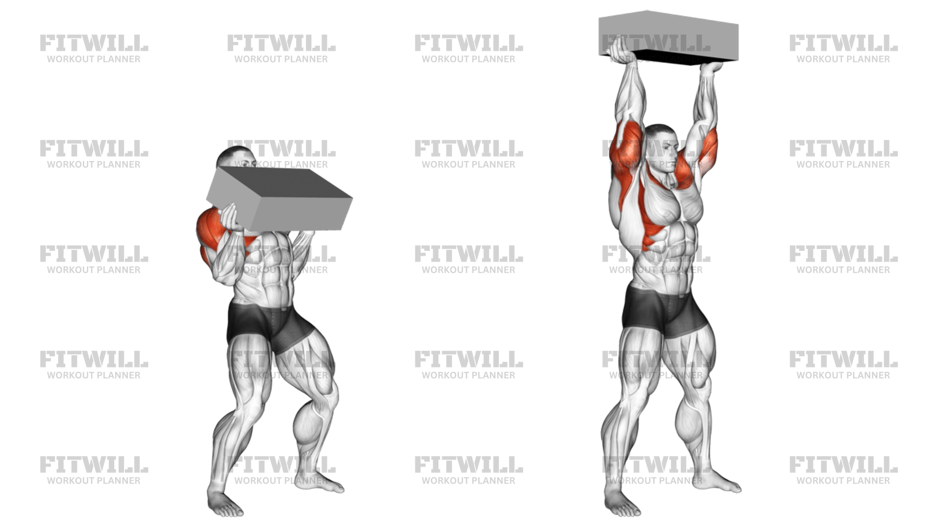 StrongMan Iron Block Press: Exercise Guide, Techniques, Benefits, How ...