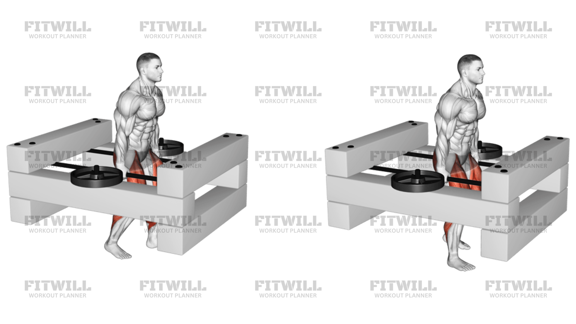 StrongMan Timber Carry: Exercise Guide, Techniques, Benefits, How to ...